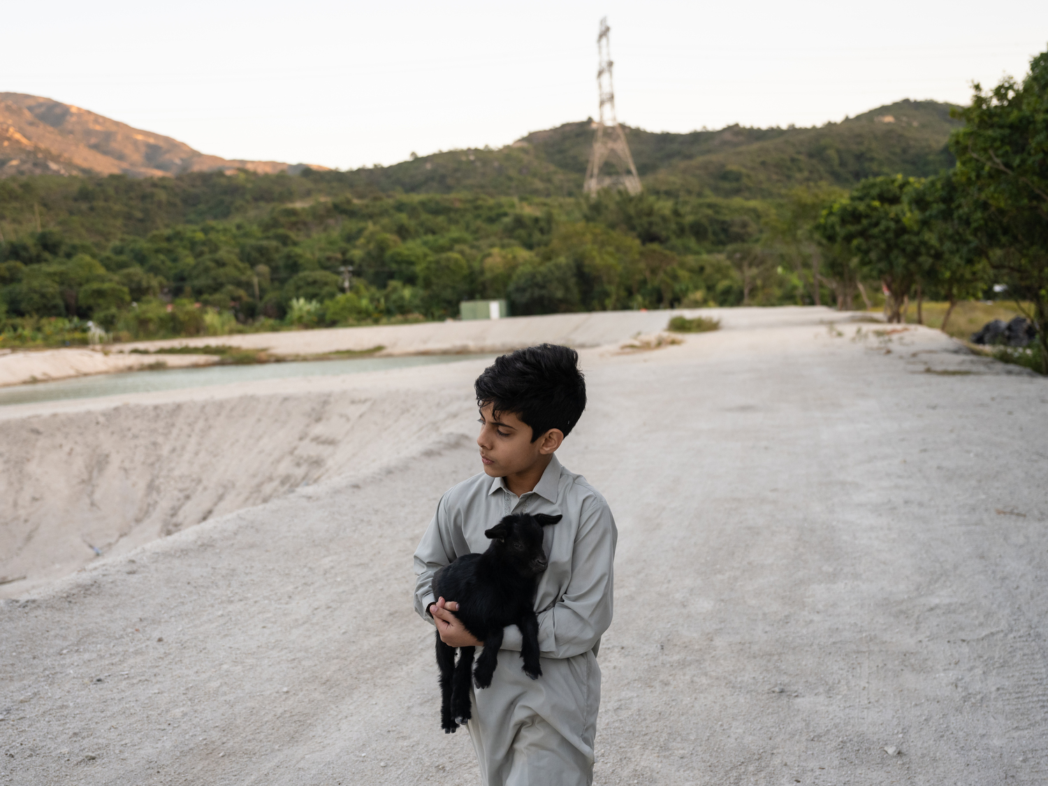 Солнечная сторона улицы